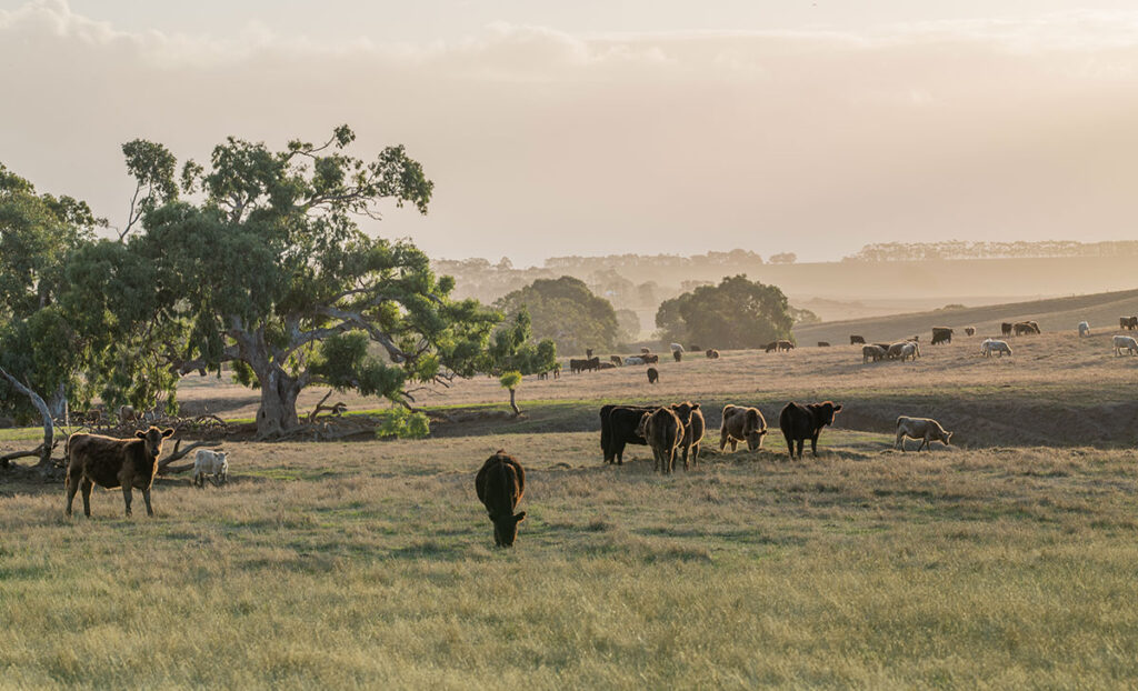 The property boom – what it means for farmers